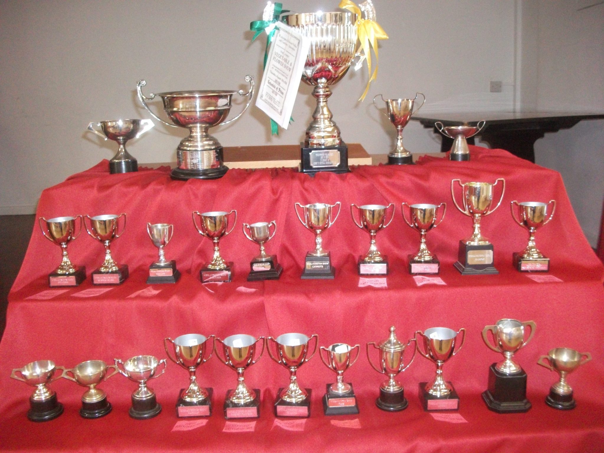 Woolavington Parish Council – News and updates from Woolavington Parish