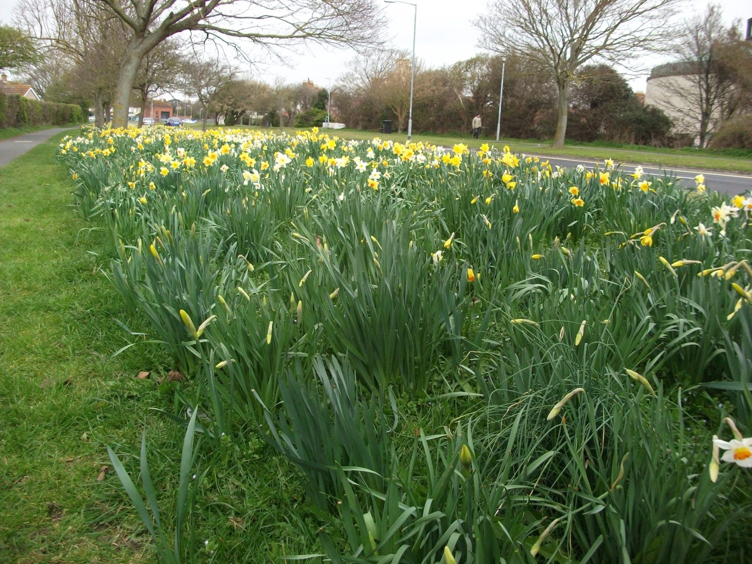Woolavington Parish Council – News and updates from Woolavington Parish